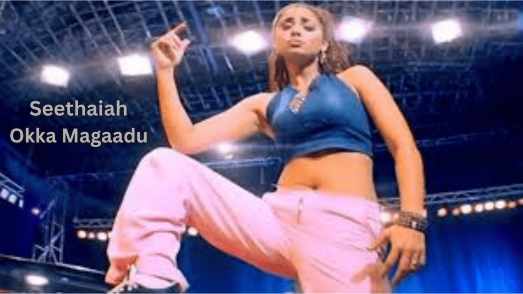 Seethaiah Okka Magaadu Song Lyrics in Telugu - a to z telugu songs Lyrics